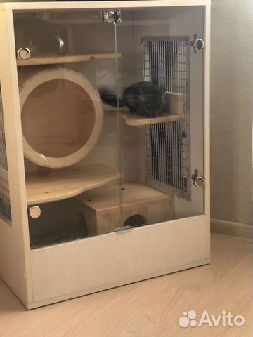 Шиншилла с клеткой-витриной