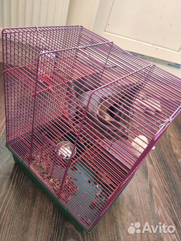 Отдам в добрые руки