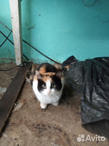 Подарите дом