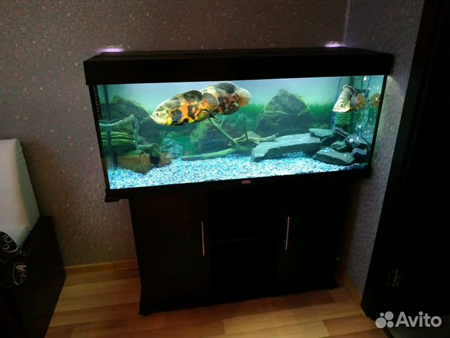 Аквариум juwel