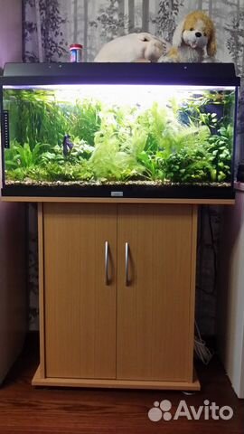 Аквариум Juwel rekord 110