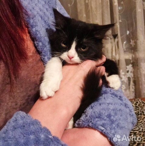 Малышка ищет добрых маму и папу