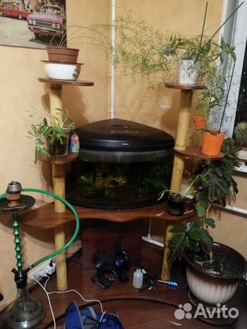 Аквариум с начинкой и тумбой