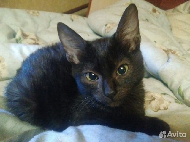 Светлый взгляд маленькой личности