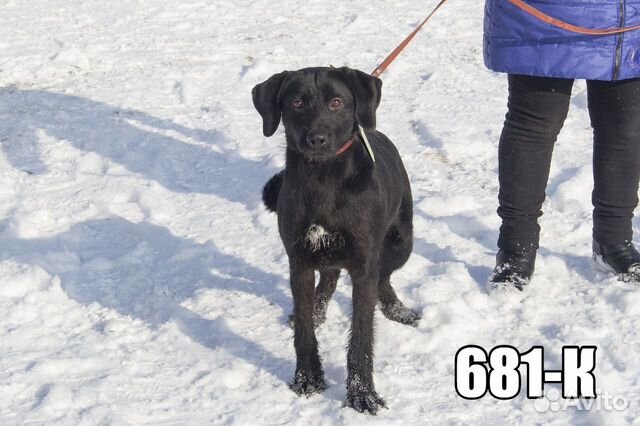 Сделай добро,приобретая друга