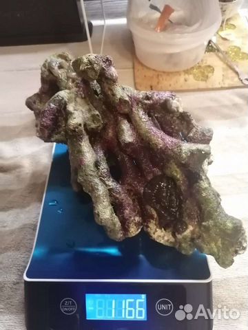 Живые камни в морской аквариум ЖК