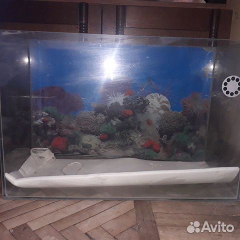 Аквариум