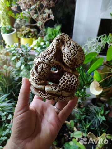 Декор для аквариума, осьминог