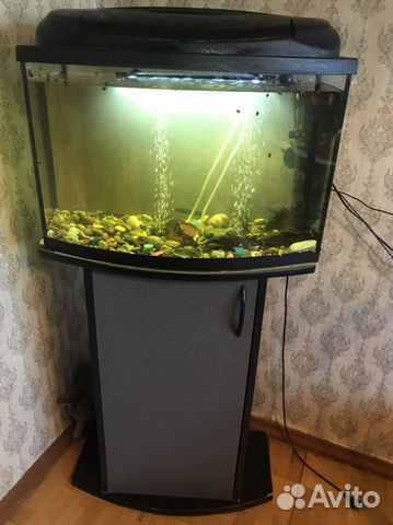 Аквариум с тумбой и оборудованием