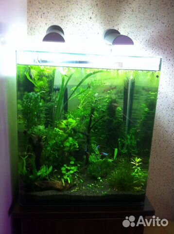 Аквариум Dennerle, Деннерле 60 литров