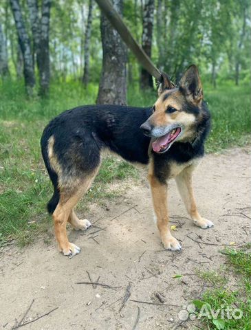 Имеет право на счастье