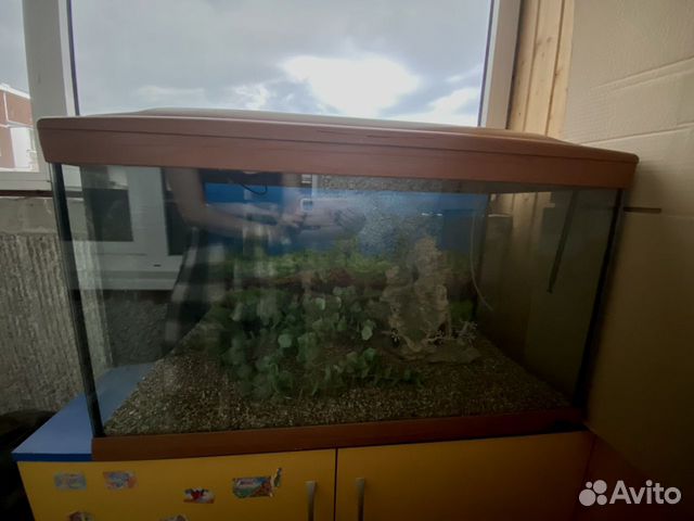 Аквариум