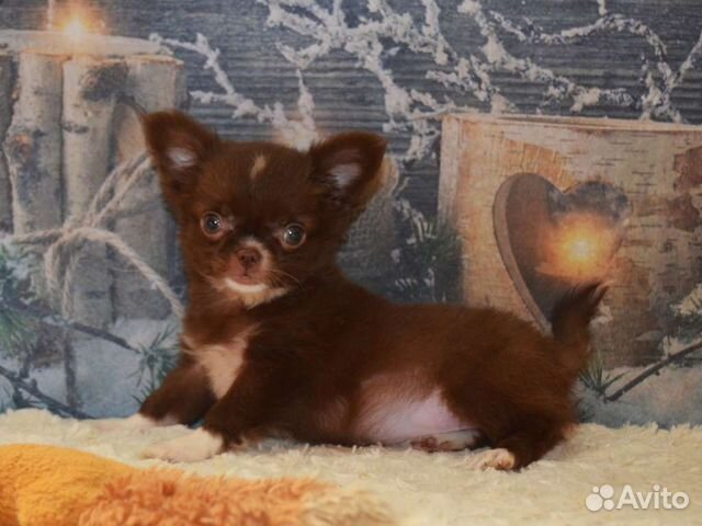 Девчоночка