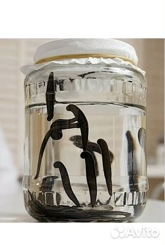 Пиявки медицинские