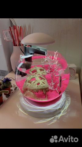 Рыбка петушок с аквариумом