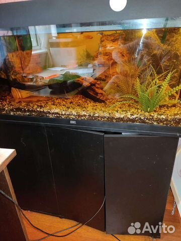 Аквариум 180 литров