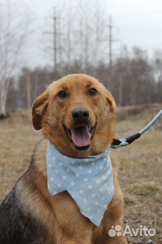 Баффи всём рада, но не всегда взаимно