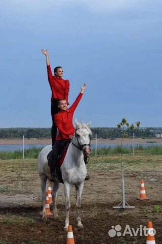 Конный спорт