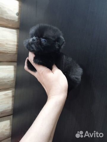 Помпом mini Перец