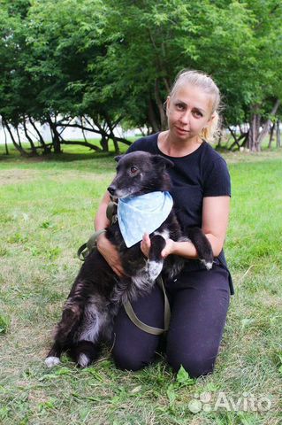 Ищем дом для собачки Луизы