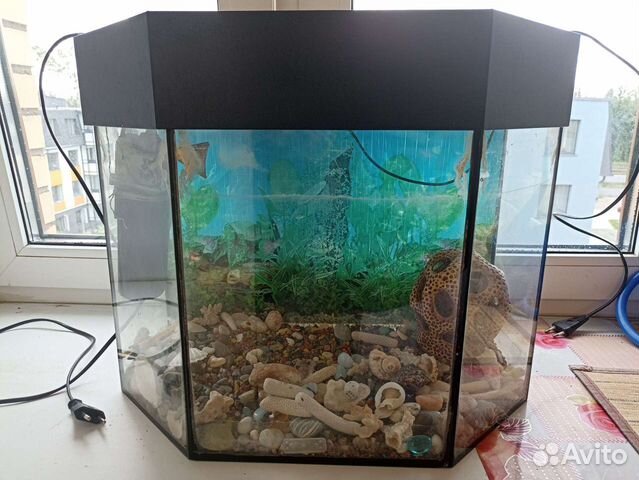 Аквариум