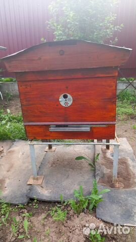 Пчелосемья