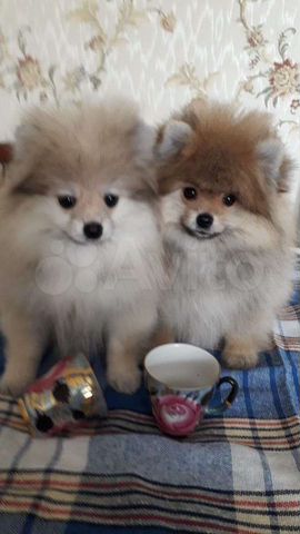 Мишенька и Машенька