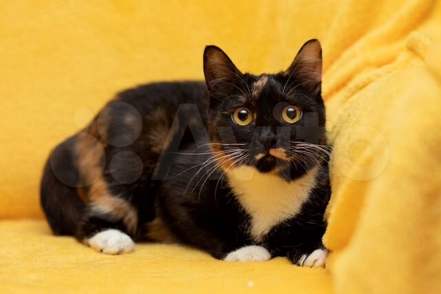 Ласковая Бусинка в дар)