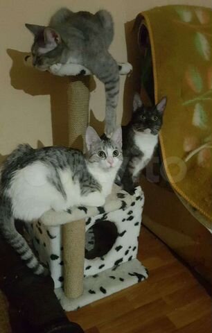 Сироты из приюта в ожидании чуда