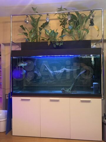 Продаем аквариум