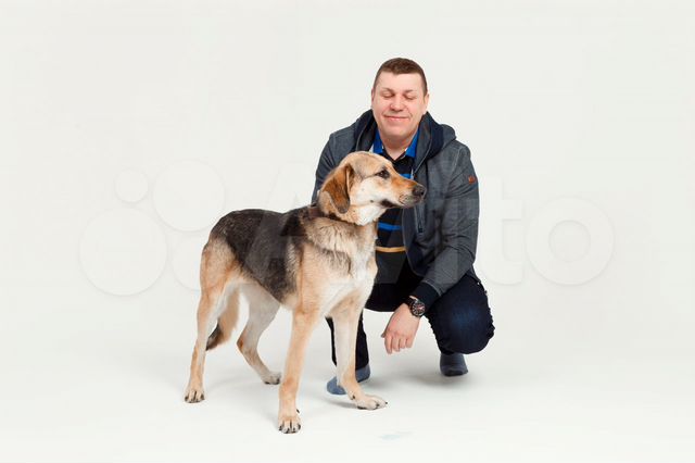 Берта 1,5 года